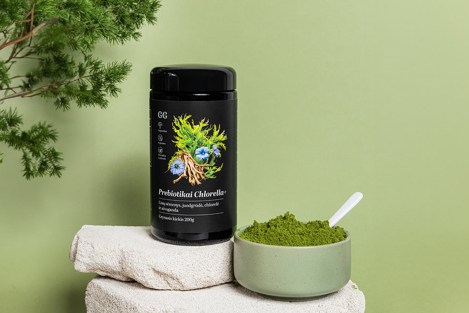 Gamta Gydo – MB Gamta Gydo